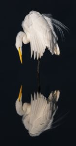 Photography by Michael Riffle - Photography