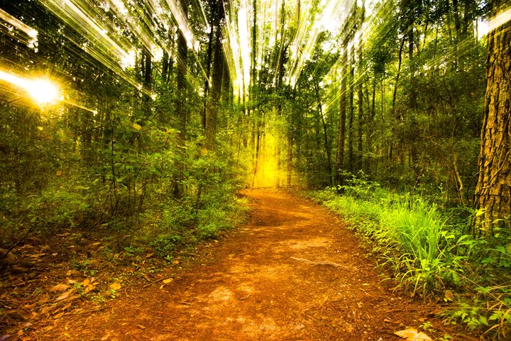 Walk Towards the Light - Photography by Michael Riffle - Photography ...