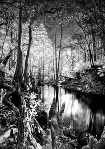 Photography by Michael Riffle - Photography