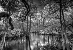 Photography by Michael Riffle - Photography