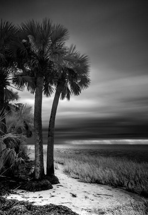 Across the Bay - Photography by Michael Riffle - Photography ...