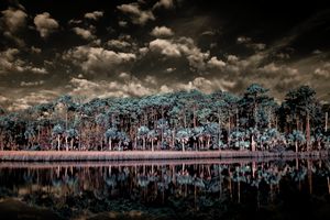 Photography by Michael Riffle - Photography