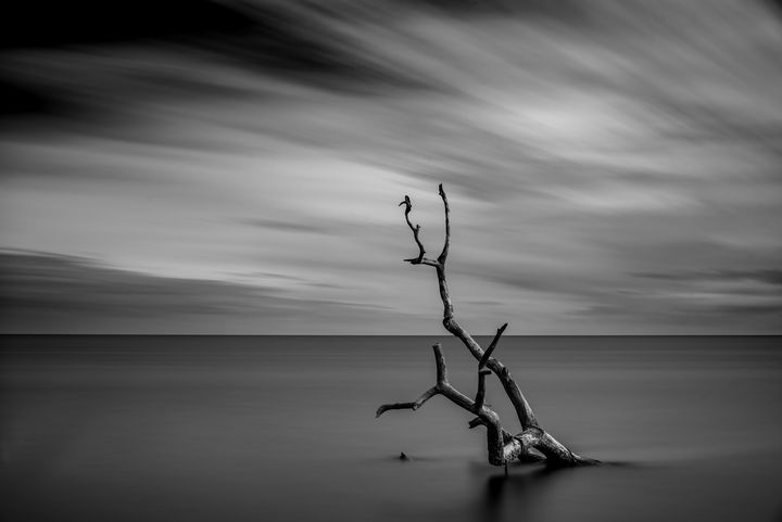 Struggle - Photography by Michael Riffle - Photography, Landscapes ...