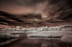 Photography by Michael Riffle - Photography