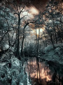 Photography by Michael Riffle - Photography