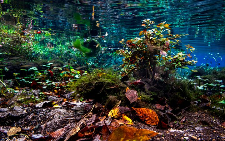 Johnson Springs - Photography by Michael Riffle - Photography ...