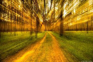 Photography by Michael Riffle - Photography