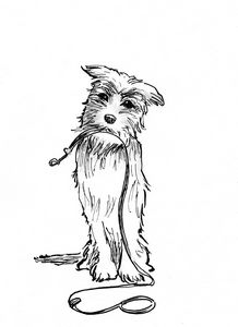 John Bucknall - Drawings & Illustration