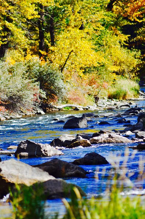 Crowsnest River in Fall - Fledgling Creations - Photography, Landscapes ...
