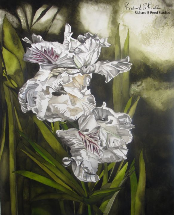 Secret Garden - Richard B Reed Studios - Paintings & Prints, Landscapes ...