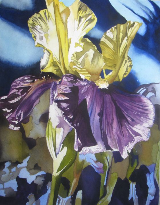 Velvet Delight - Richard B Reed Studios - Paintings & Prints, Flowers ...