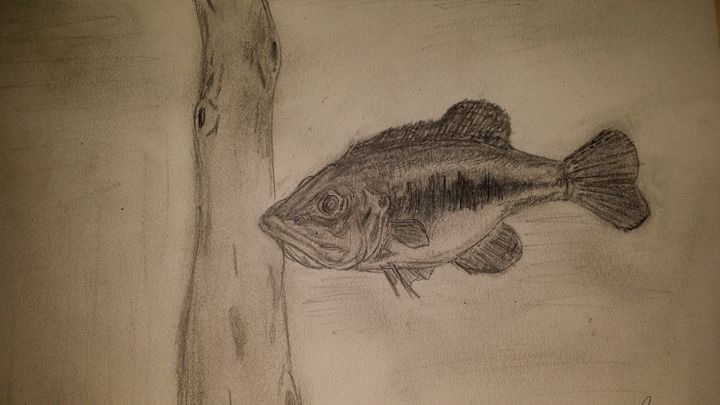 J.Benson artwork - Drawings & Illustration