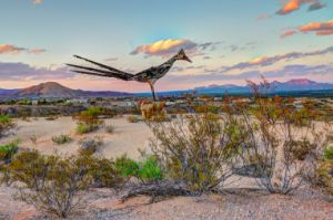 TopGum Photography by E. Gary Gum - Photography