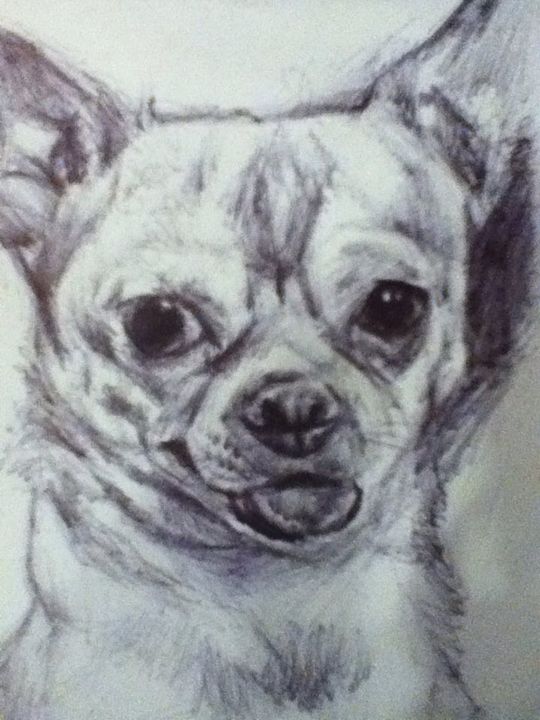 Cute Doggy - Billy Jackson - Drawings & Illustration, Animals, Birds ...