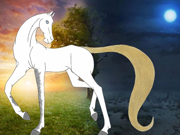 Adagio - Studio del Cavallo - Drawings & Illustration, Animals, Birds ...