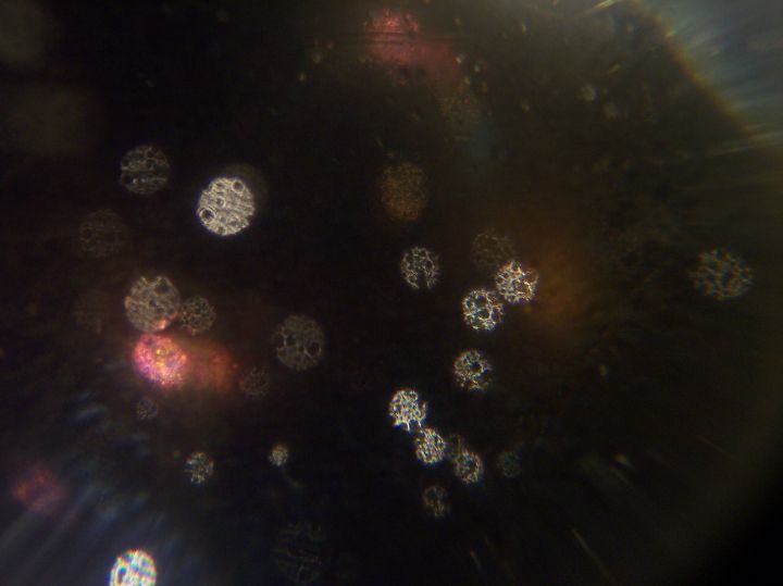 Orbs dancing in the dark - MparArt - Photography, Fantasy & Mythology ...