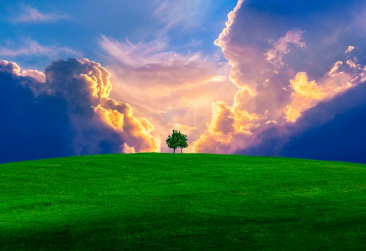 Alone on the Hilltop - Larry Huffman Photograhy - Photography ...