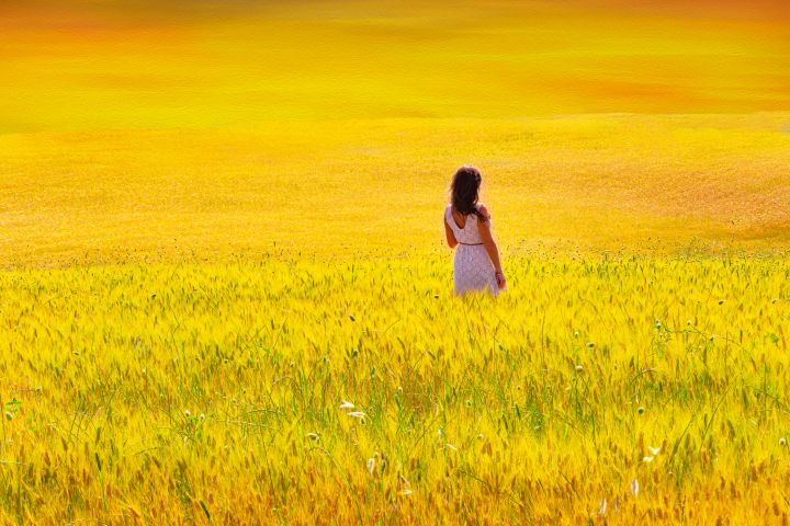 Field of Dreams - Larry Huffman Photograhy - Photography, Landscapes ...