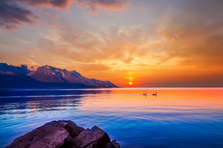 Swans Enjoying Morning Calm - Larry Huffman Photograhy - Photography ...