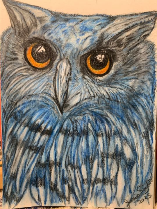 Owl in Blue Overtones - Janis Singleton - Drawings & Illustration ...