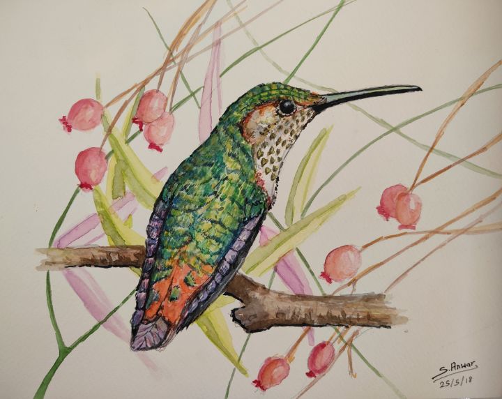 Rufous Hummingbird - Art - Paintings & Prints, Animals, Birds, & Fish ...