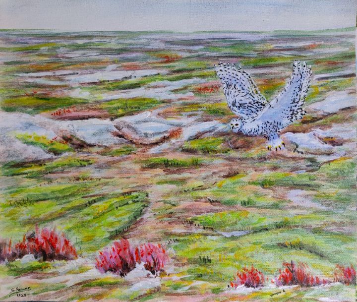 Arctic Nomad - Art - Paintings & Prints, Animals, Birds, & Fish, Birds ...