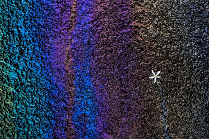 Tragically beautiful - Lost visuals by kemish - Photography, Abstract ...