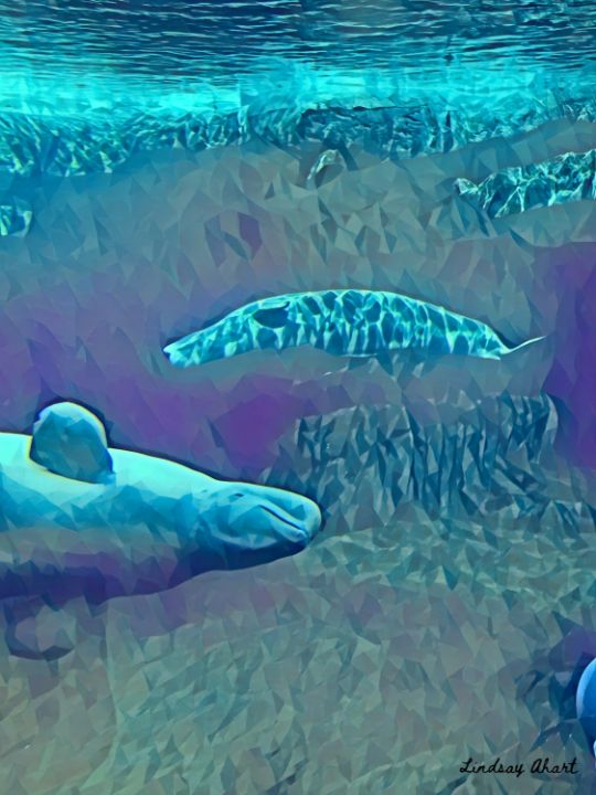 Hello, Beluga! - Blue Fusion Surf Art - Paintings & Prints, Animals ...