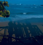 JBros - Drawings & Illustration