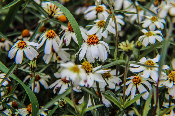 Autumn Tooling:Eagle Ridge Territory - Vickielynne - Photography ...