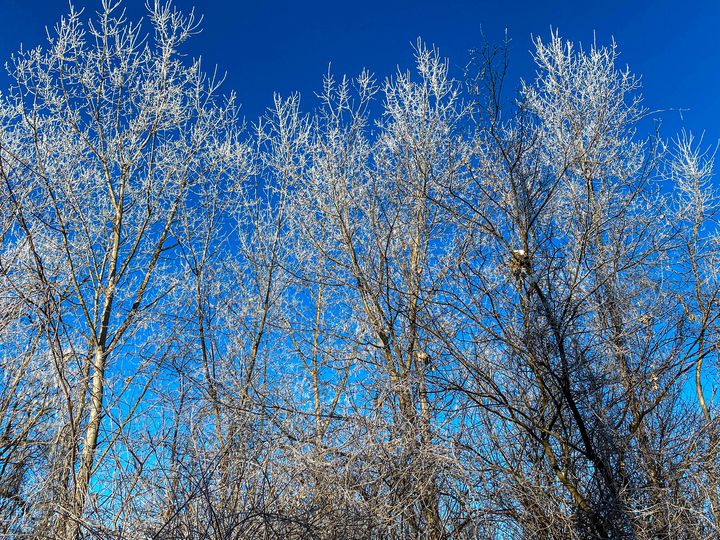 Sun Bright Rime Frost - Vickielynne - Photography, Landscapes & Nature ...