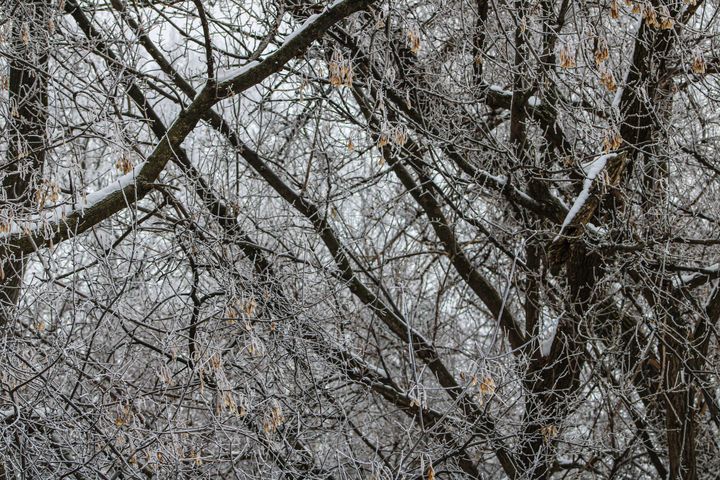 Rime Frost Winter Morning - Vickielynne - Photography, Landscapes ...