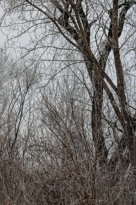 Rime Frost Winter Morning - Vickielynne - Photography, Landscapes ...