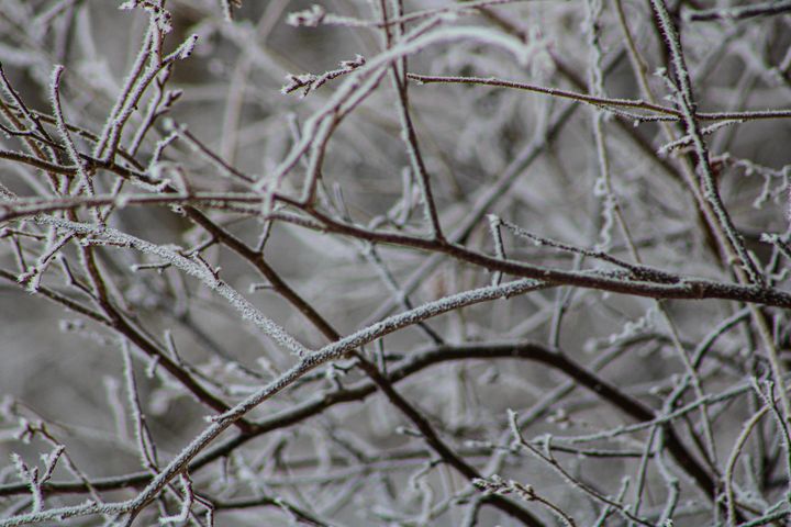 Rime Frost Winter Morning - Vickielynne - Photography, Landscapes ...