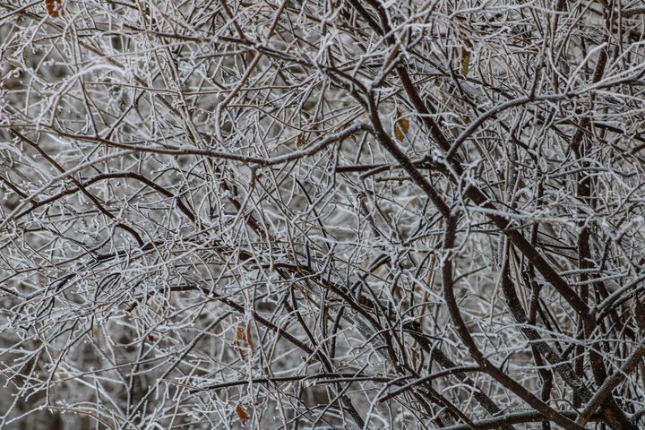 Rime Frost Winter Morning - Vickielynne - Photography, Landscapes ...