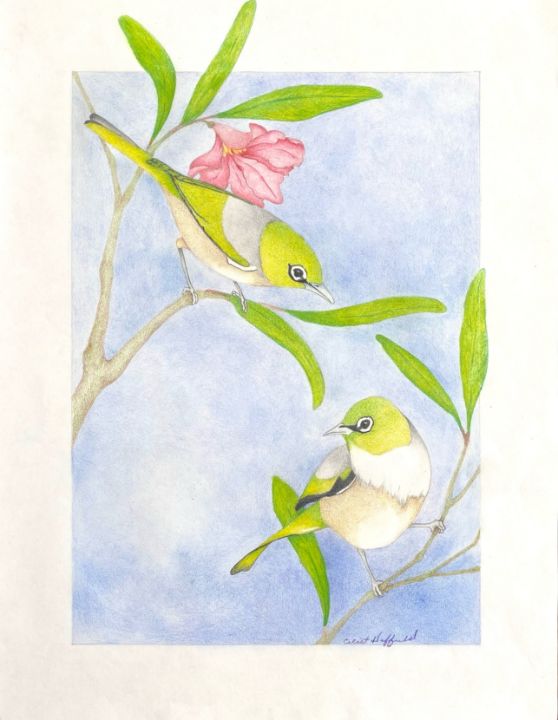 Two Silvereye birds - Celest - Drawings & Illustration, Animals, Birds ...