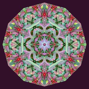 Red Purple Smoke Mandala - Digital Crafts - Digital Art, Abstract ...