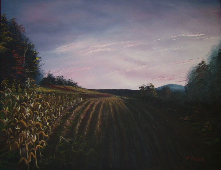 Country Life by Heath Forbes - Paintings & Prints, Photography