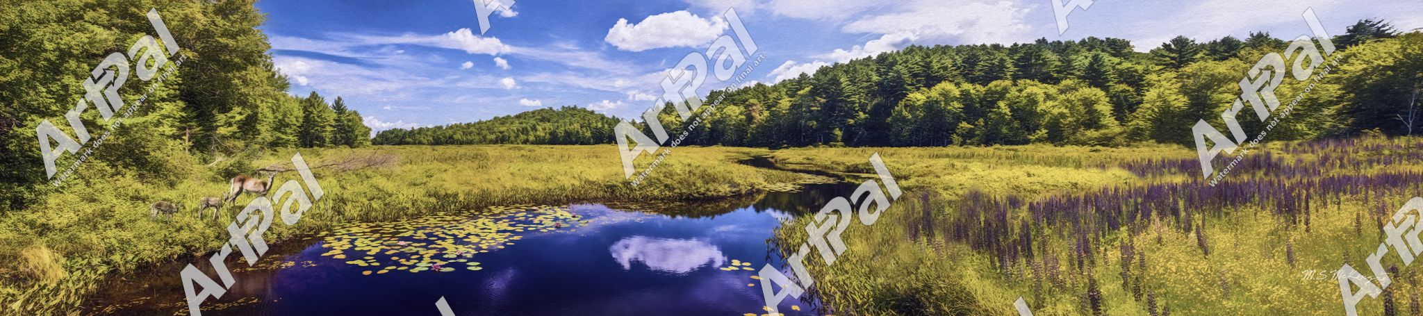 Pretty Marsh Acadia National Park - It’s A Shore Thing Art by Mark S ...