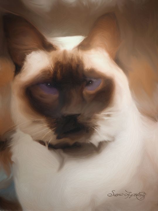 SIAMESE BEAUTY - SHAYNA PHOTOGRAPHY - Digital Art & AI, Animals, Birds ...