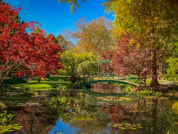 Fall Reflections - CK Photo and Arts - Photography, Landscapes & Nature ...