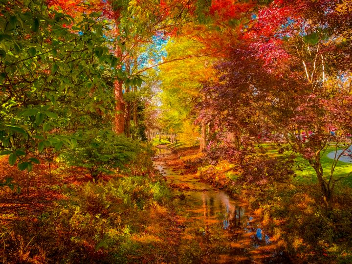 Fall Creek Colors - CK Photo and Arts - Photography, Landscapes ...