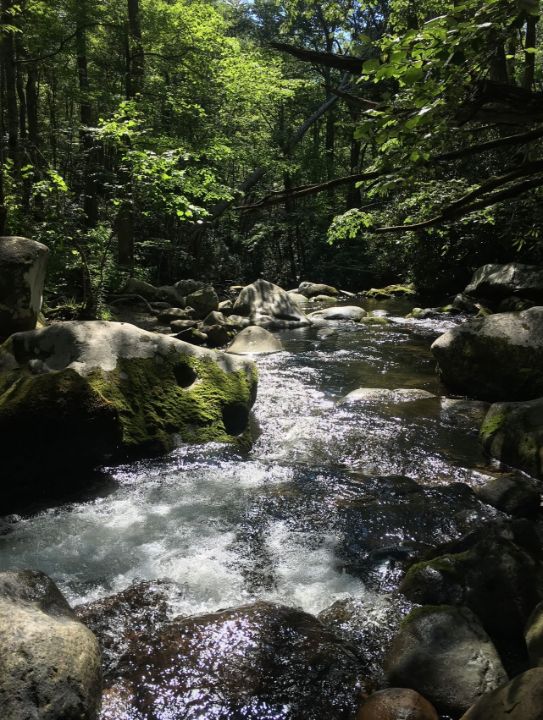 Nature Bound - Wanda’s Art Works - Photography, Landscapes & Nature ...