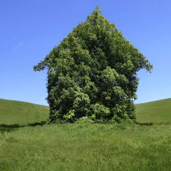 House of Unyielding - throwrocksatjames - Digital Art & AI, Landscapes ...