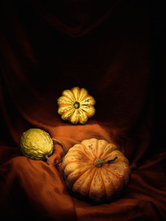 Squashes - Judith Flacke Still Life - Photography, Still Life, Other ...