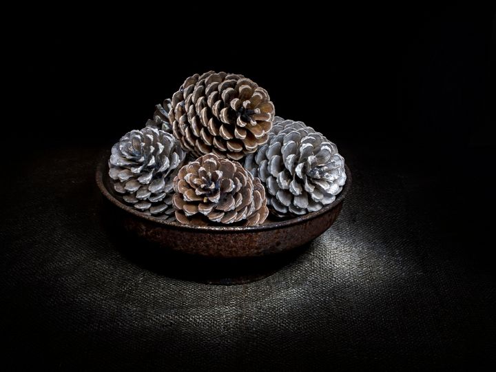 Pine cones in bowl. - Judith Flacke Still Life - Photography, Still ...