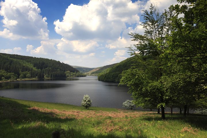 Spring Ladybower lake Derbyshire - Dave Porter Landscape Photography ...