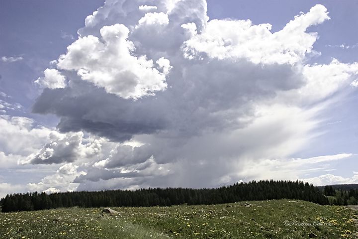 Summer Storm in Colorado - Barbara Odle Fine Art - Photography ...