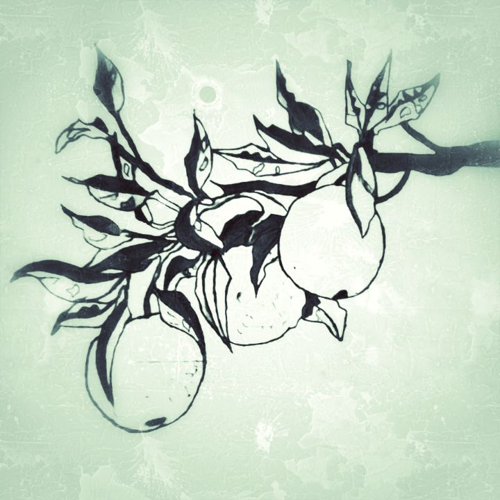 Darmy - Drawings & Illustration