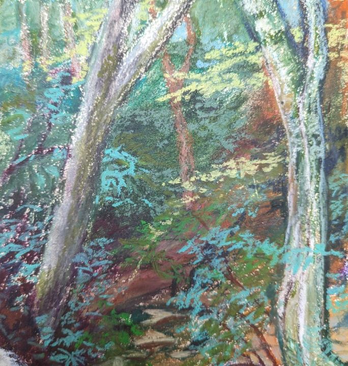 Forbes State Forest, at Cole Falls - Michael P Walter Art - Drawings ...